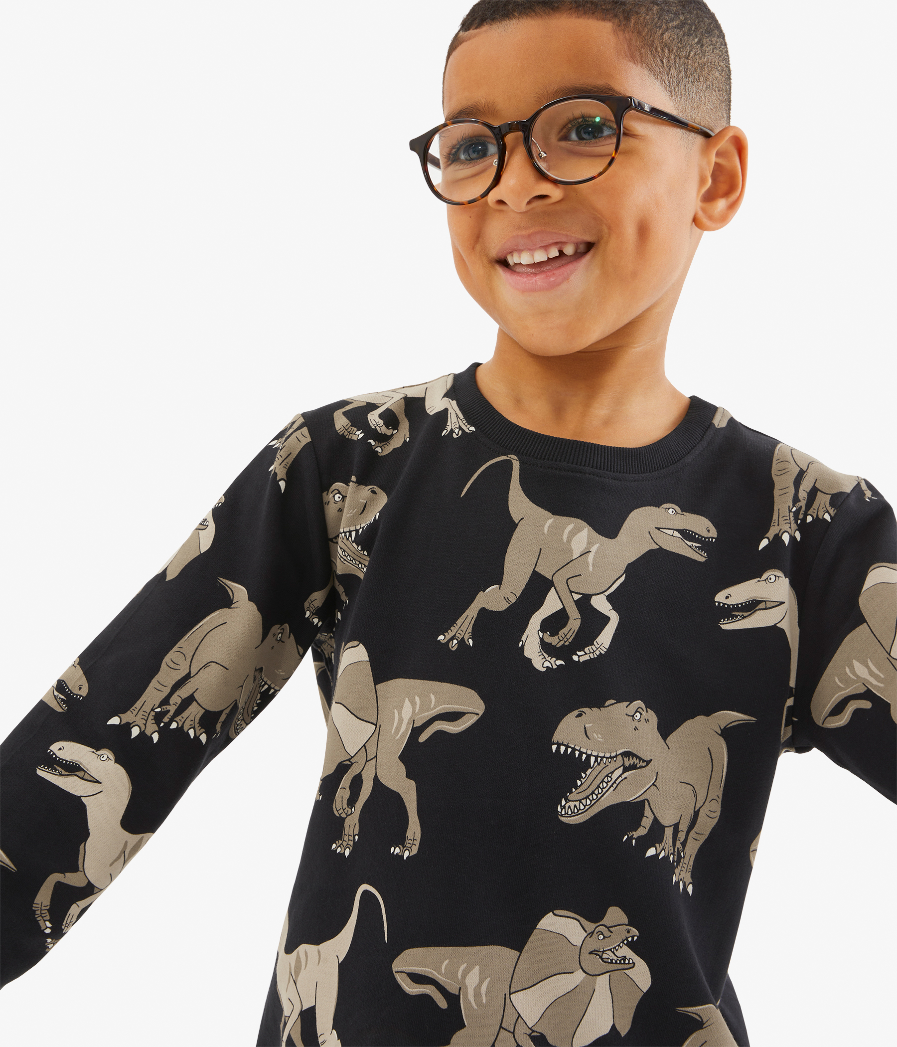 Sweatshirt med dinosaurier